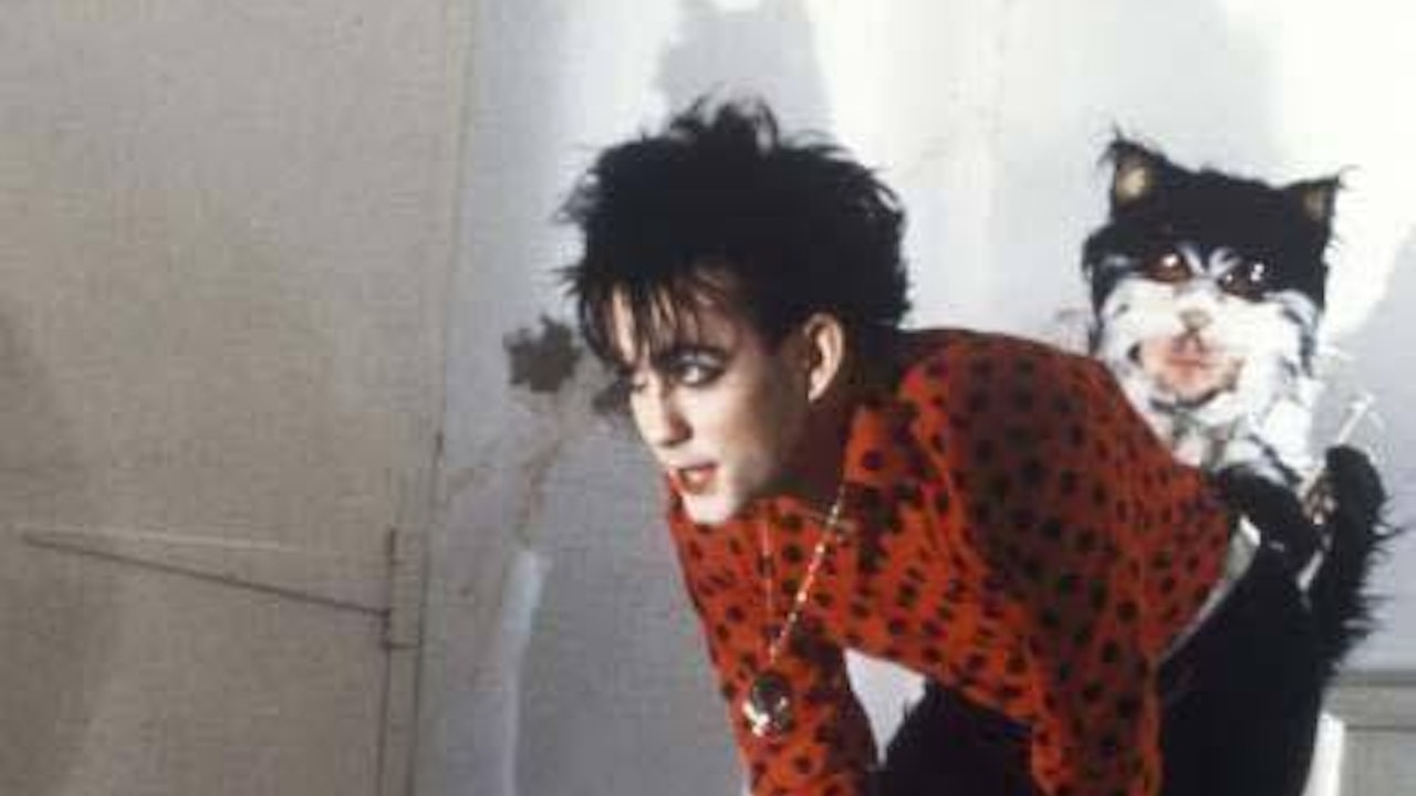 The Cure Cat Love