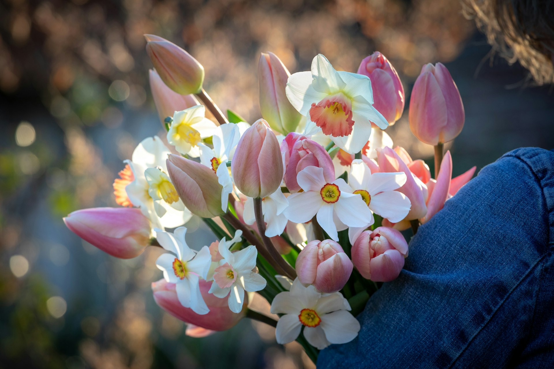 Info Jonathan Buckley Garden And Flower Photography info-jonathan-buckley-garden-and-flower-photography